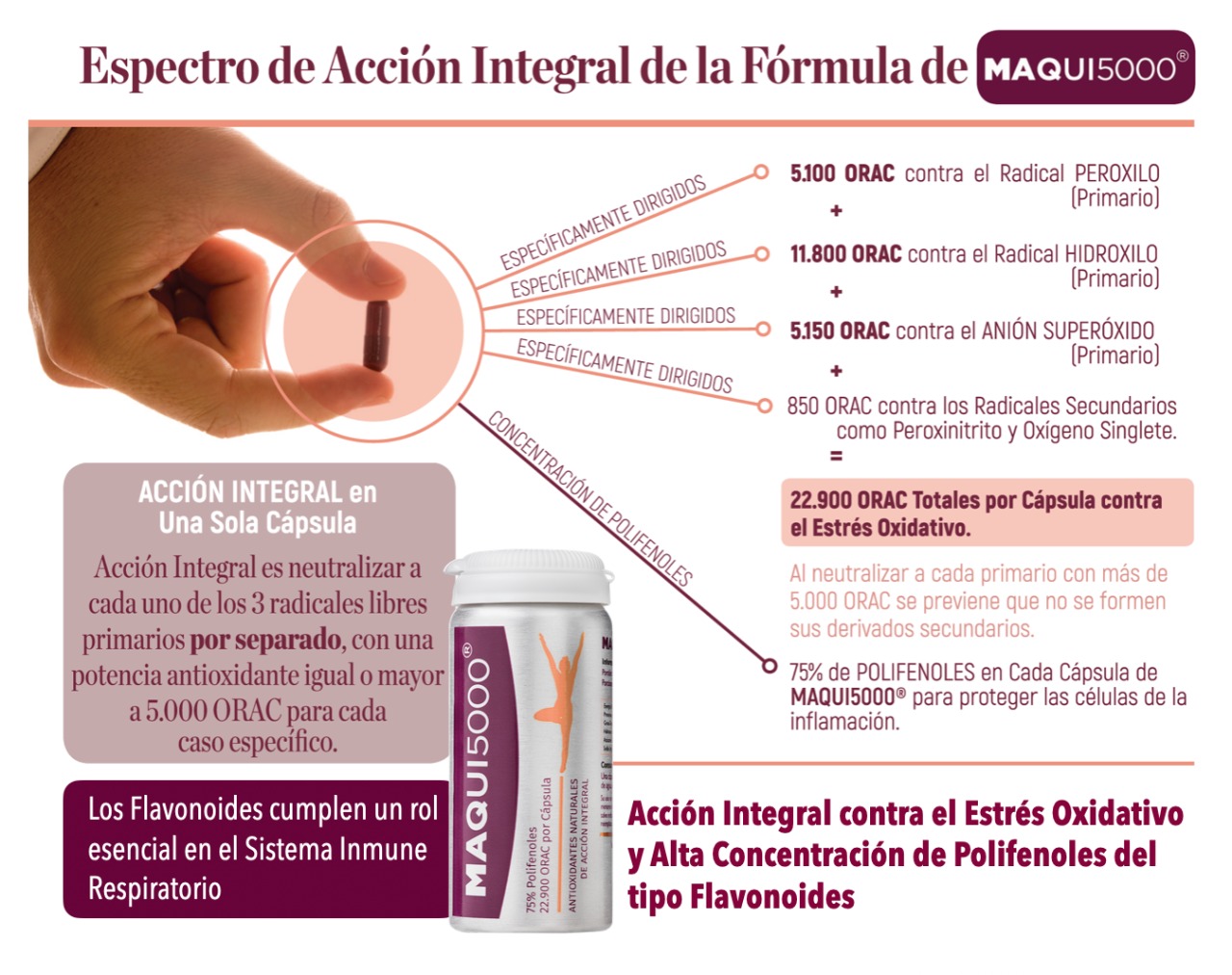 maqui3 - www.kinesiologiaestetica.cl